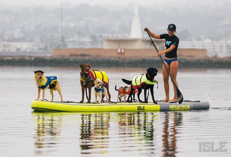 The 3 Best Giant Paddle Boards To Have Fun Together [[2024]