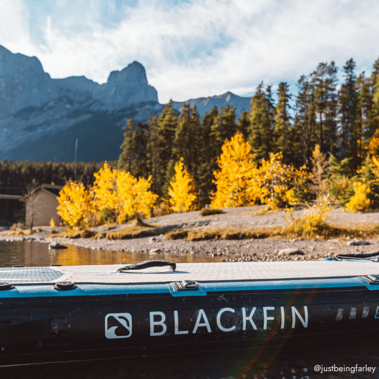 🖤 Blackfin Model V Review- High Class Board - SUP World