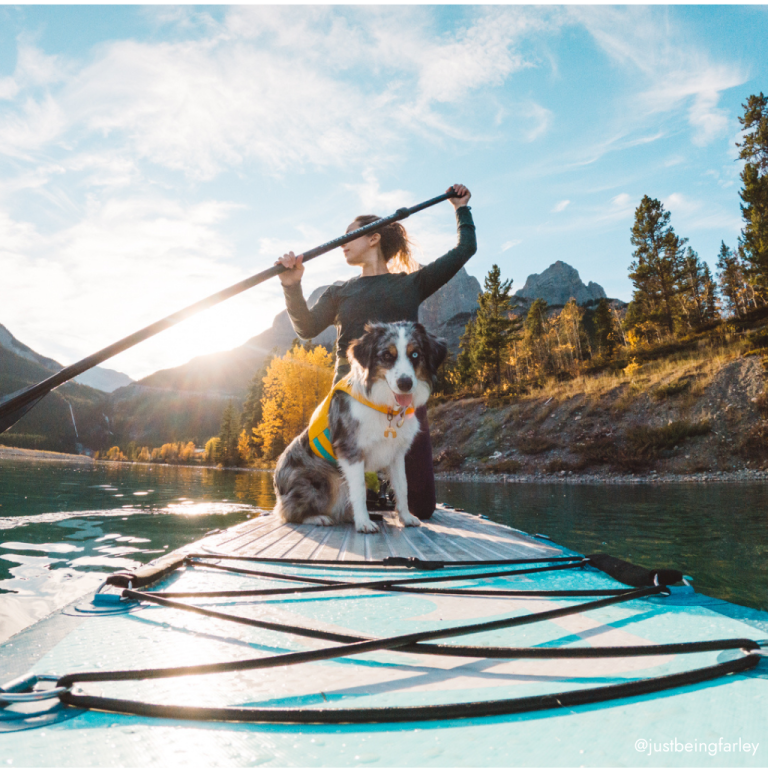 Blackfin Model XL: Your Most Versatile Stand-Up Paddleboard