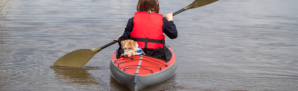 Kayaking With Dog Seats: How to Kayak With a Dog Platform