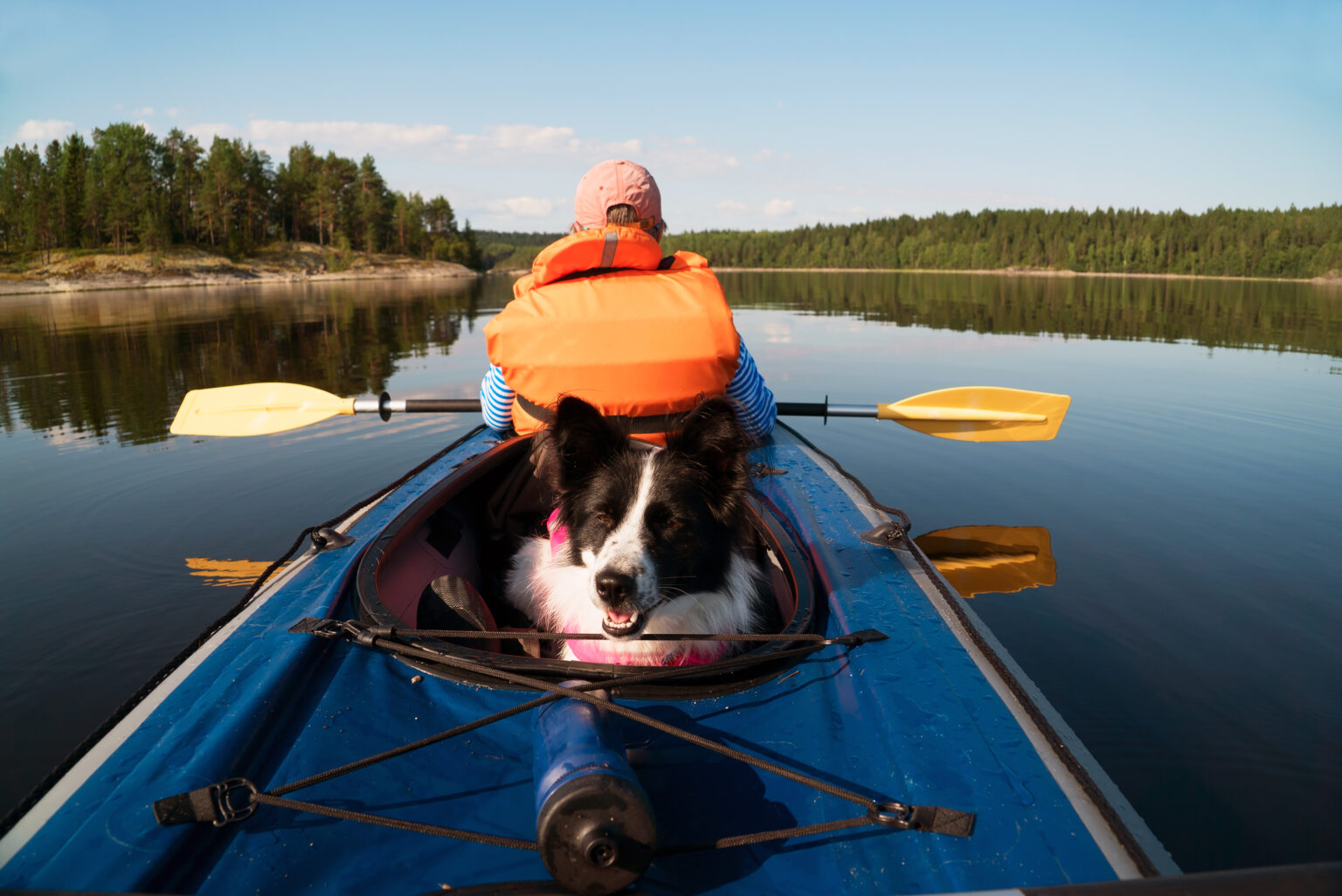 Kayaking With Dog Seats: How to Kayak With a Dog Platform