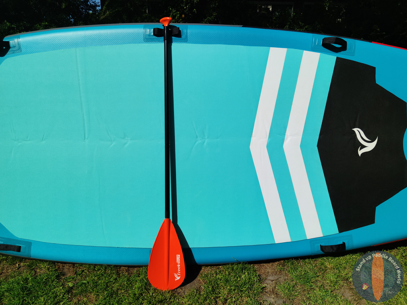 Freein Team SUP: Enjoying the Fun of Group Paddle boarding!